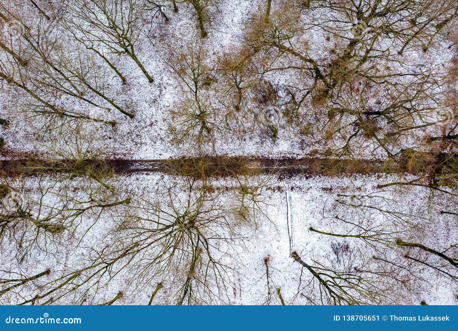 Aerial View of the Winter Forest with Path from Above Stock Image ...