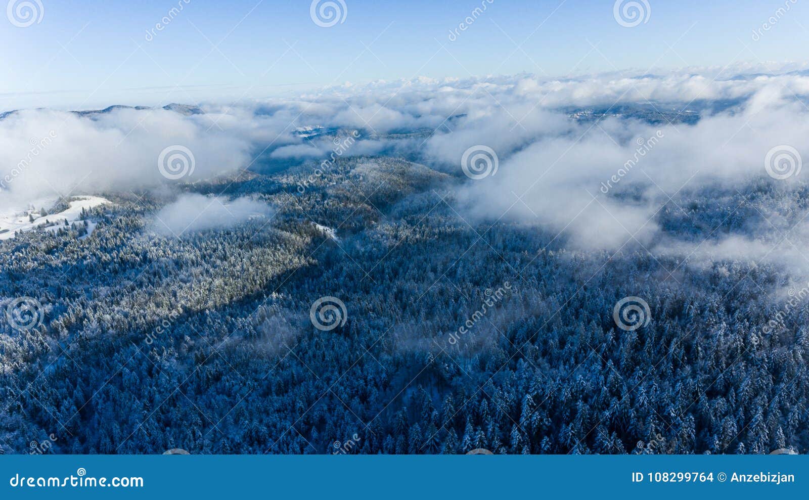 Aerial View of Winter Forest. Stock Photo - Image of scenery, sunny ...