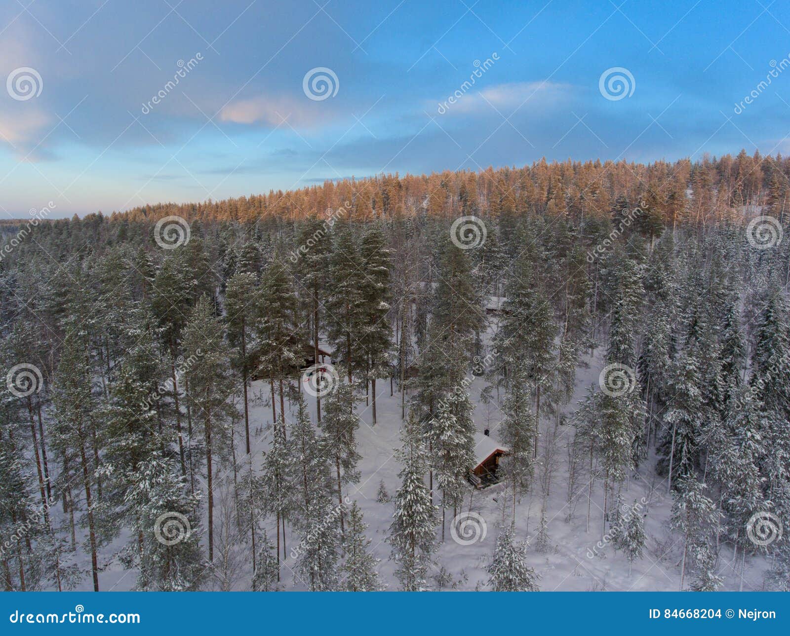 Aerial View of Winter Snowscape and Forest Stock Photo - Image of ...