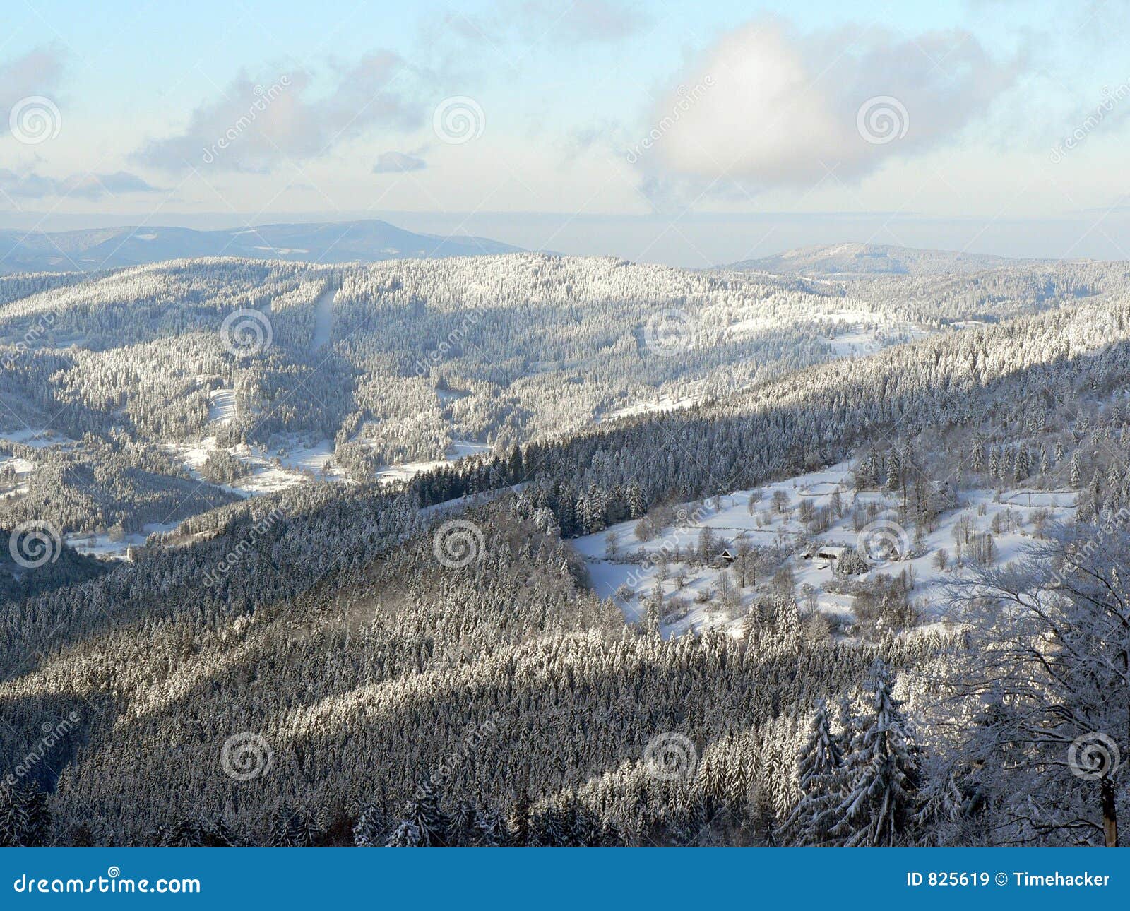 Aerial View of Wintry Forest Stock Image - Image of countryside, trees ...