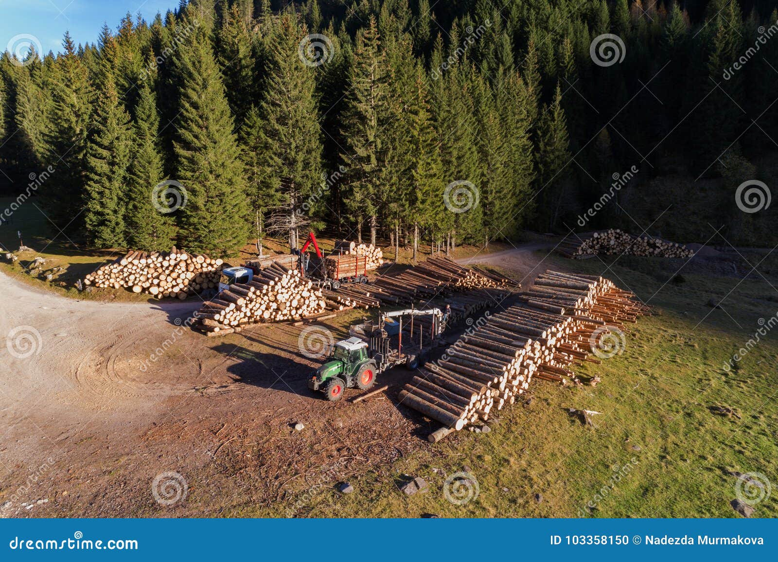 Aerial View of Wood Mining in Dolomites Stock Photo - Image of lift ...
