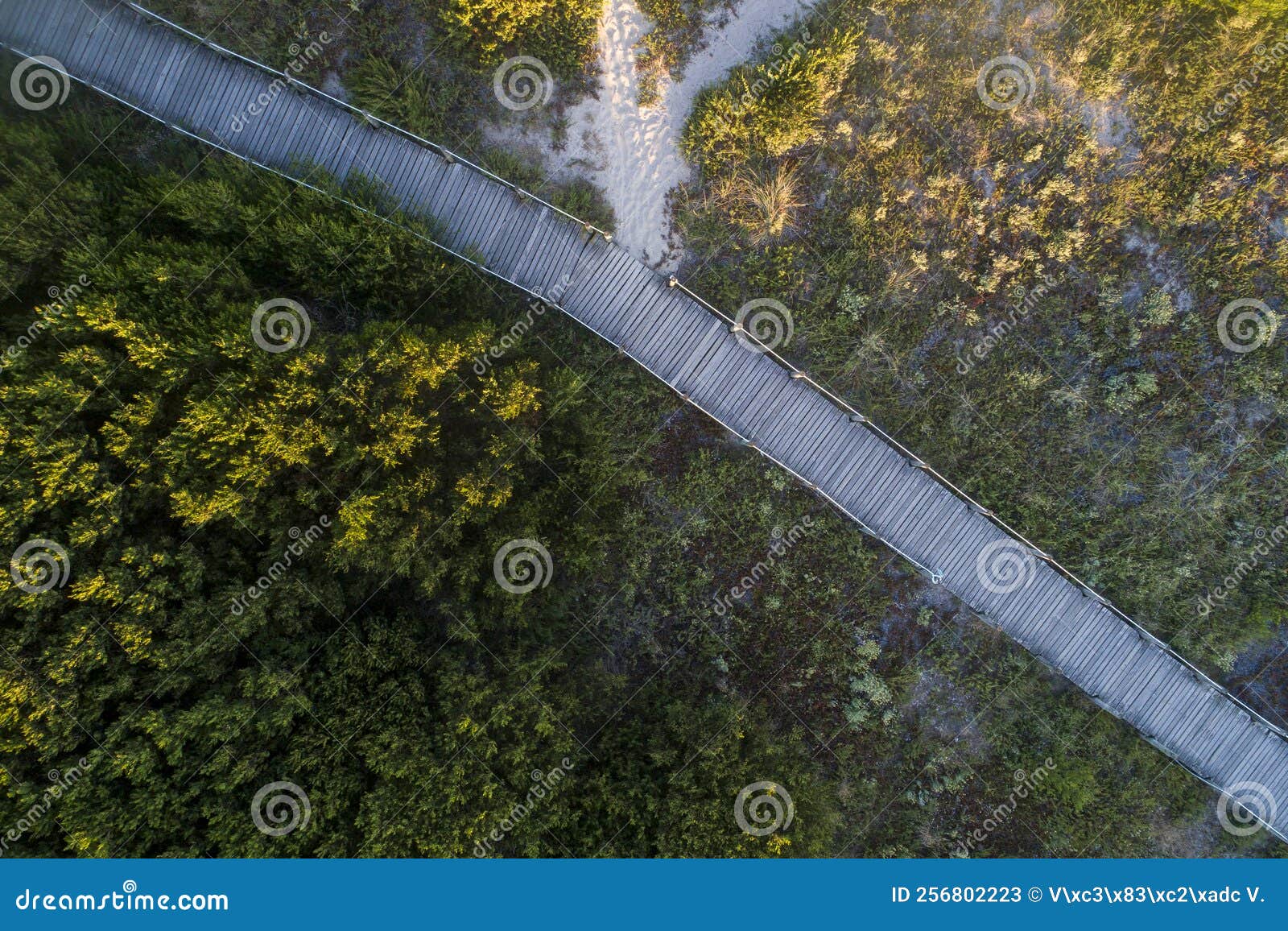 Aerial View of a Wooden Walkway on a Beach Stock Image - Image of ...