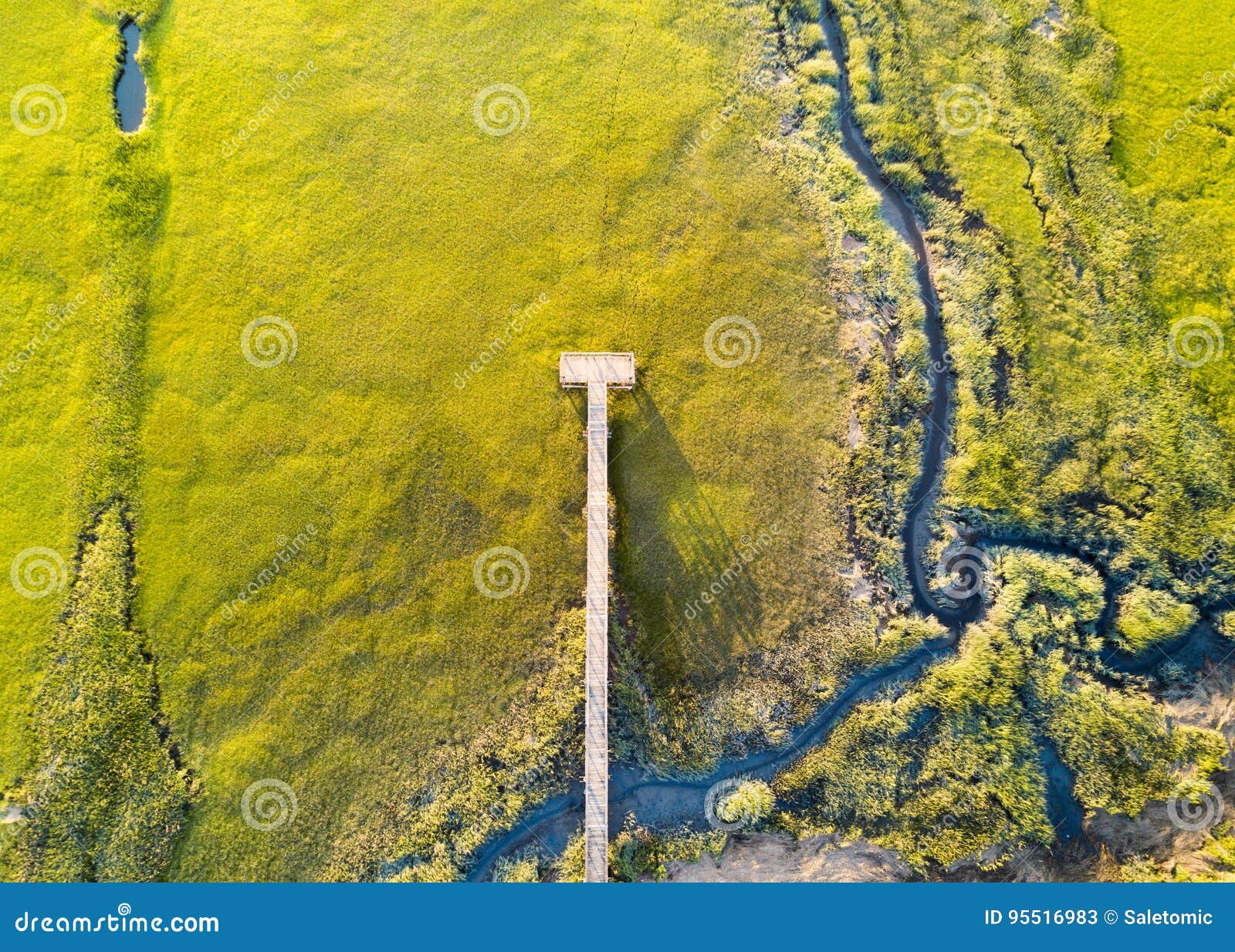 Aerial View of Wooden Bridge Over a Swamp Stock Image - Image of nature ...