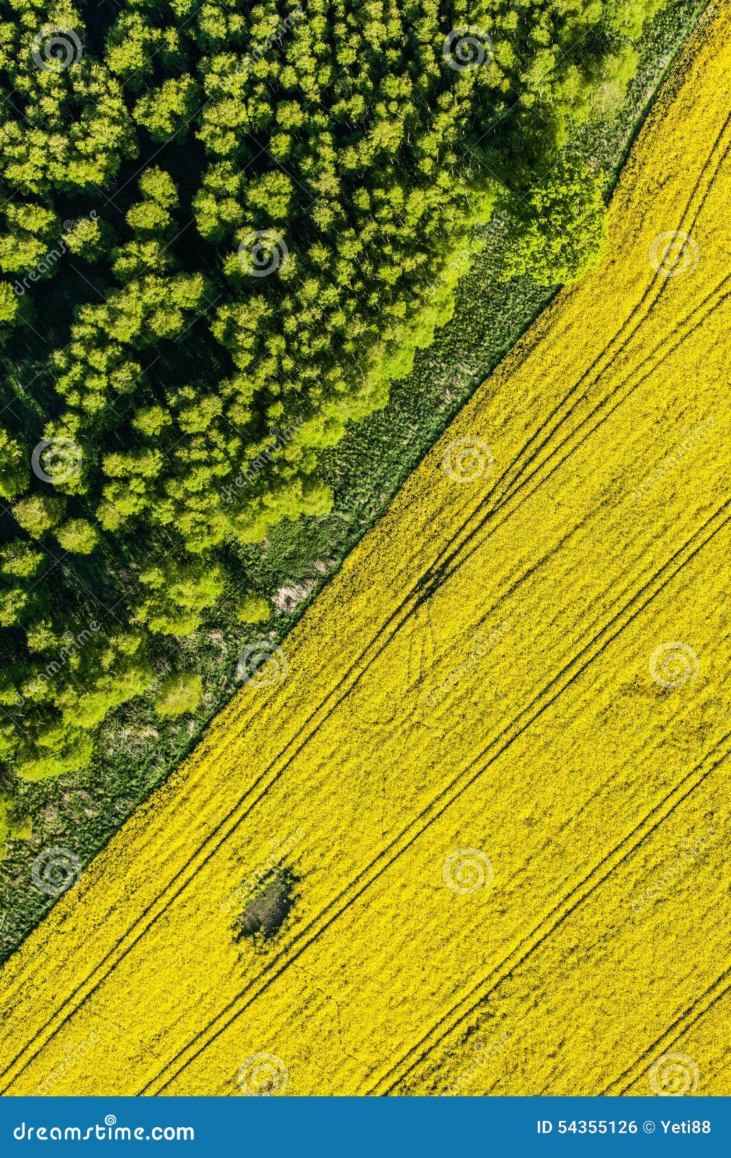 Aerial View of Yellow Harvest Fields Stock Photo - Image of pattern ...