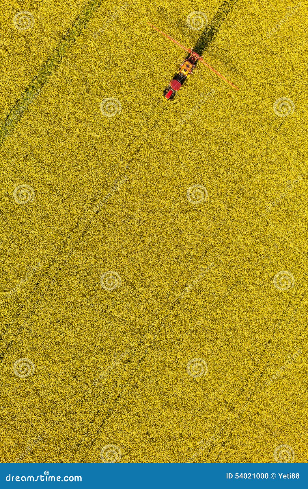 Aerial View of Yellow Harvest Fields with Tractor Stock Photo - Image ...