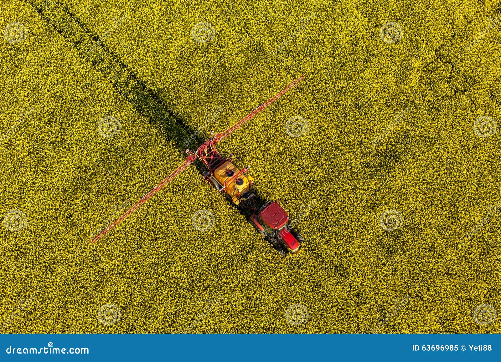 Aerial View of Yellow Harvest Fields with Tractor Stock Image - Image ...