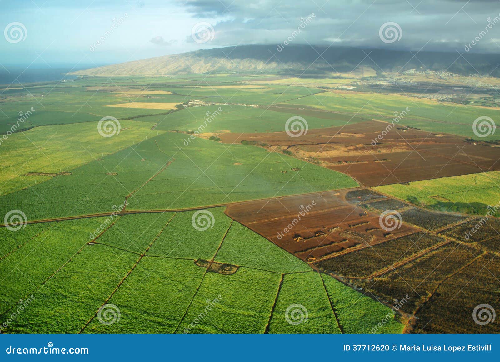 Aerial Farmland Grid Crops Stock Photos - Free & Royalty-Free Stock ...
