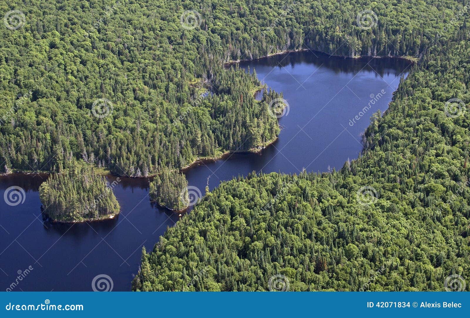 Aerial wild forest stock photo. Image of scenic, trees - 42071834