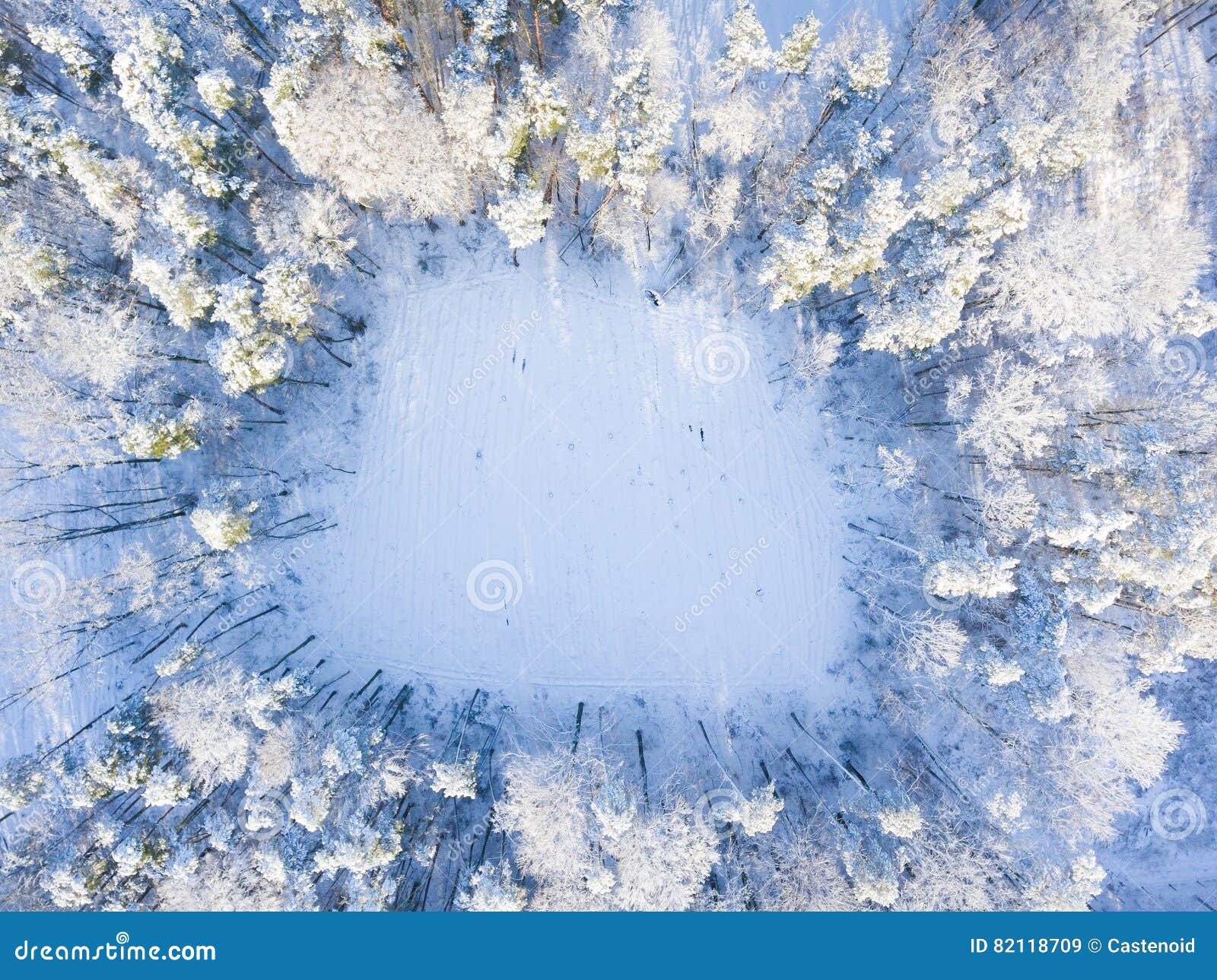 Aerial winter forest stock image. Image of glade, field - 82118709