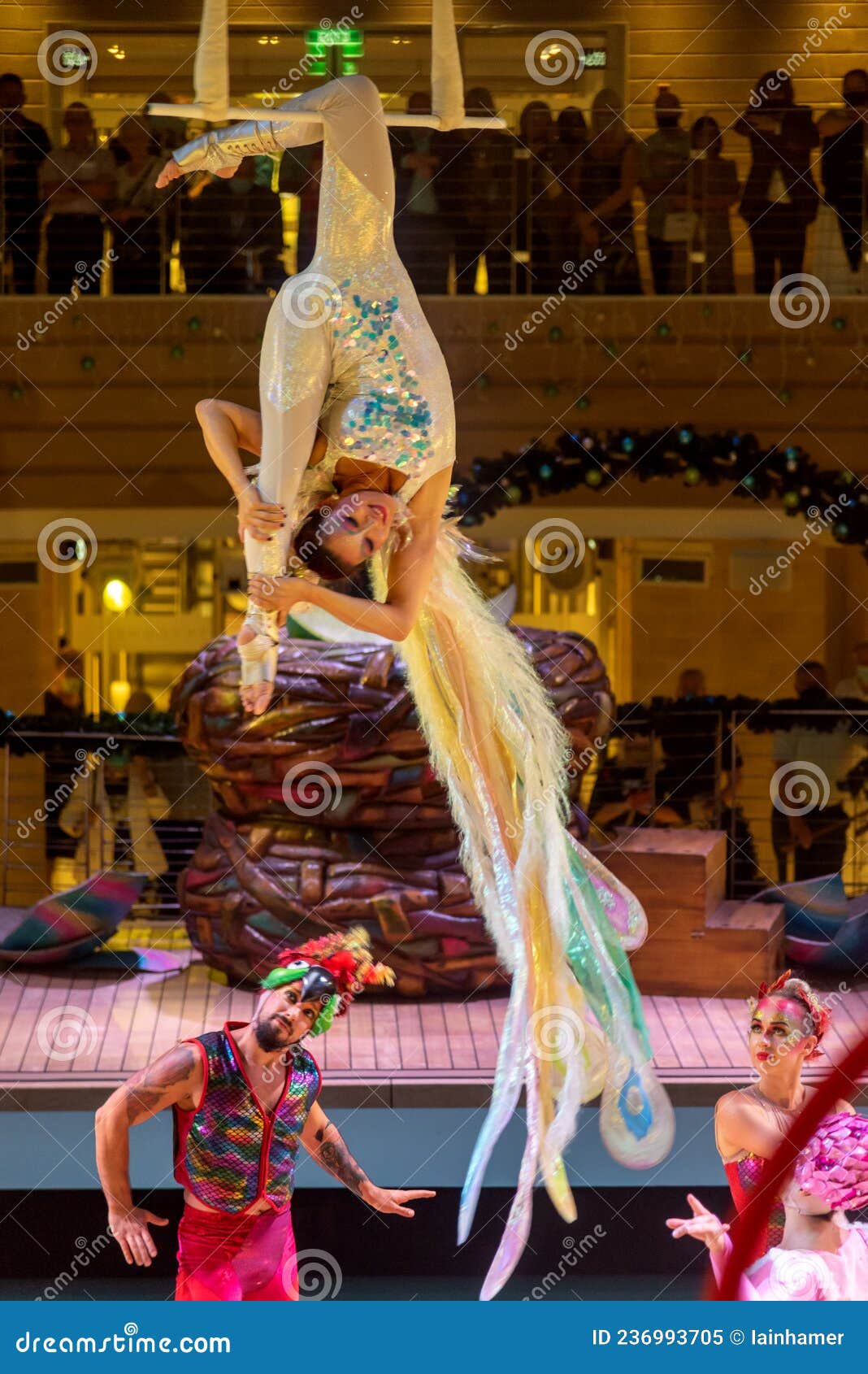 An Aerialist during a Performance in the Skydome on MS Iona Editorial ...