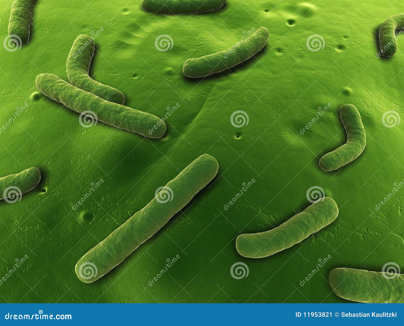 Aeromonas Cartoons, Illustrations & Vector Stock Images - 27 Pictures ...