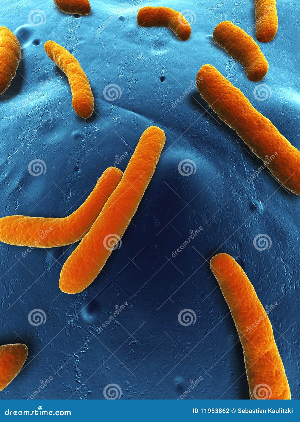 Aeromonas stock illustration. Illustration of biology - 11953862