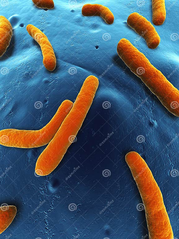 Aeromonas stock illustration. Illustration of biology - 11953862