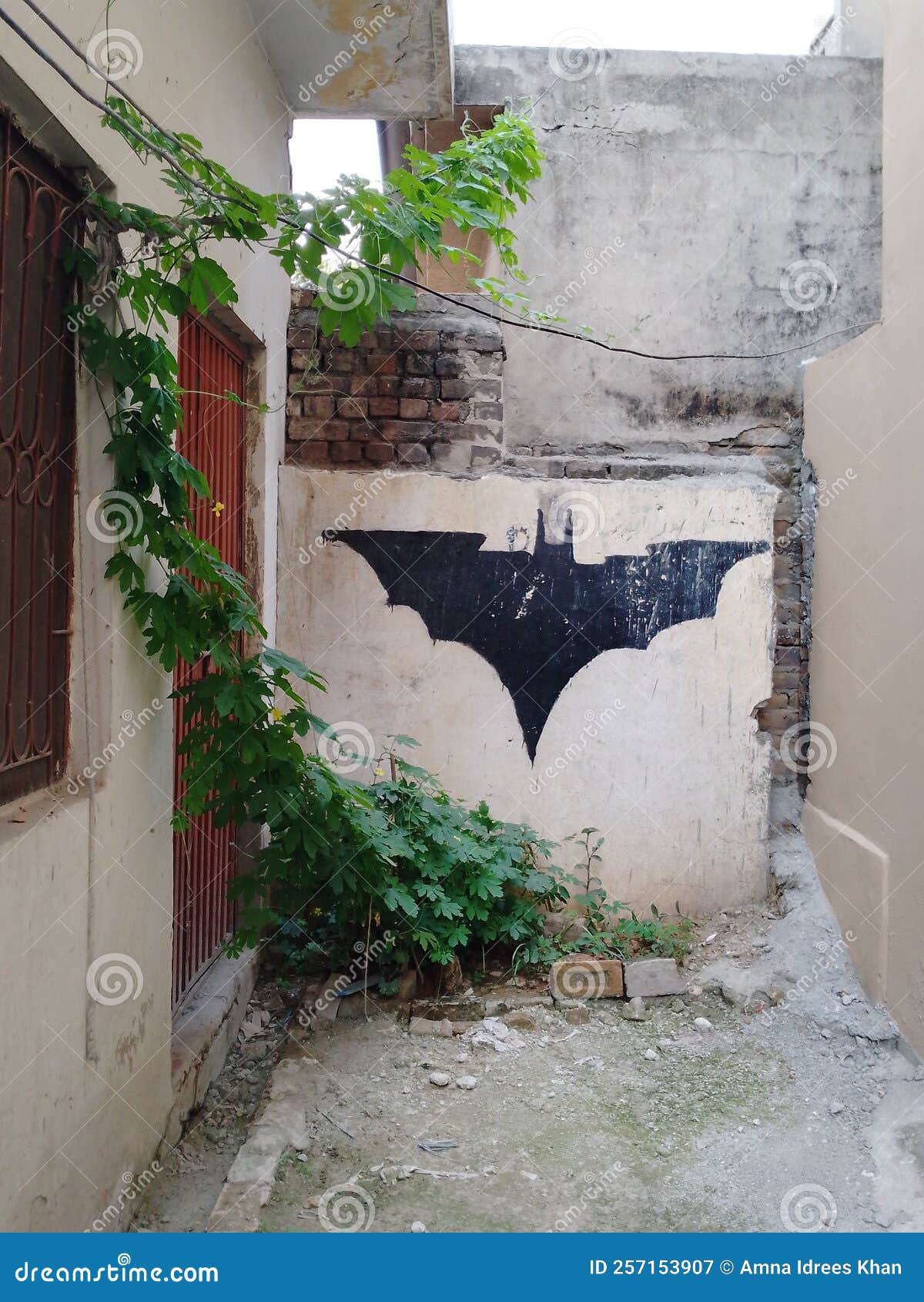 Aesthetic Batman Logo on a Wall with Plantation Editorial Photography ...