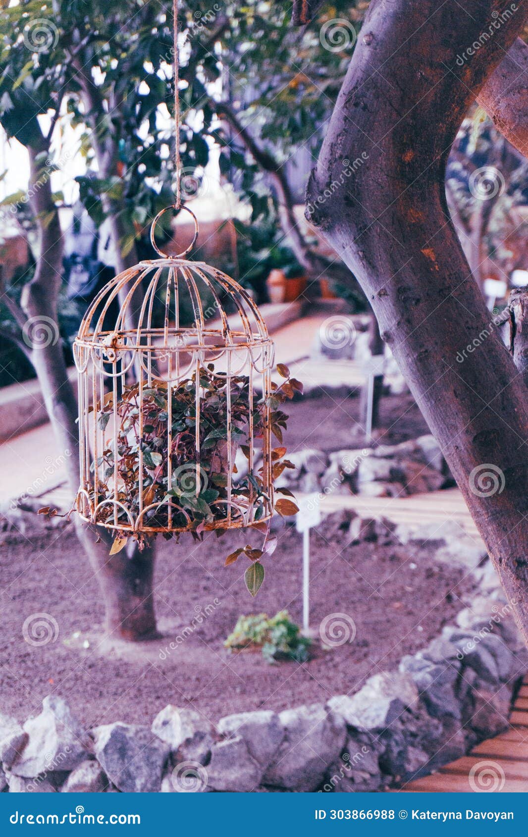 An Aesthetic Composition in Boho Style with a Vintage Cage. Stock Photo ...