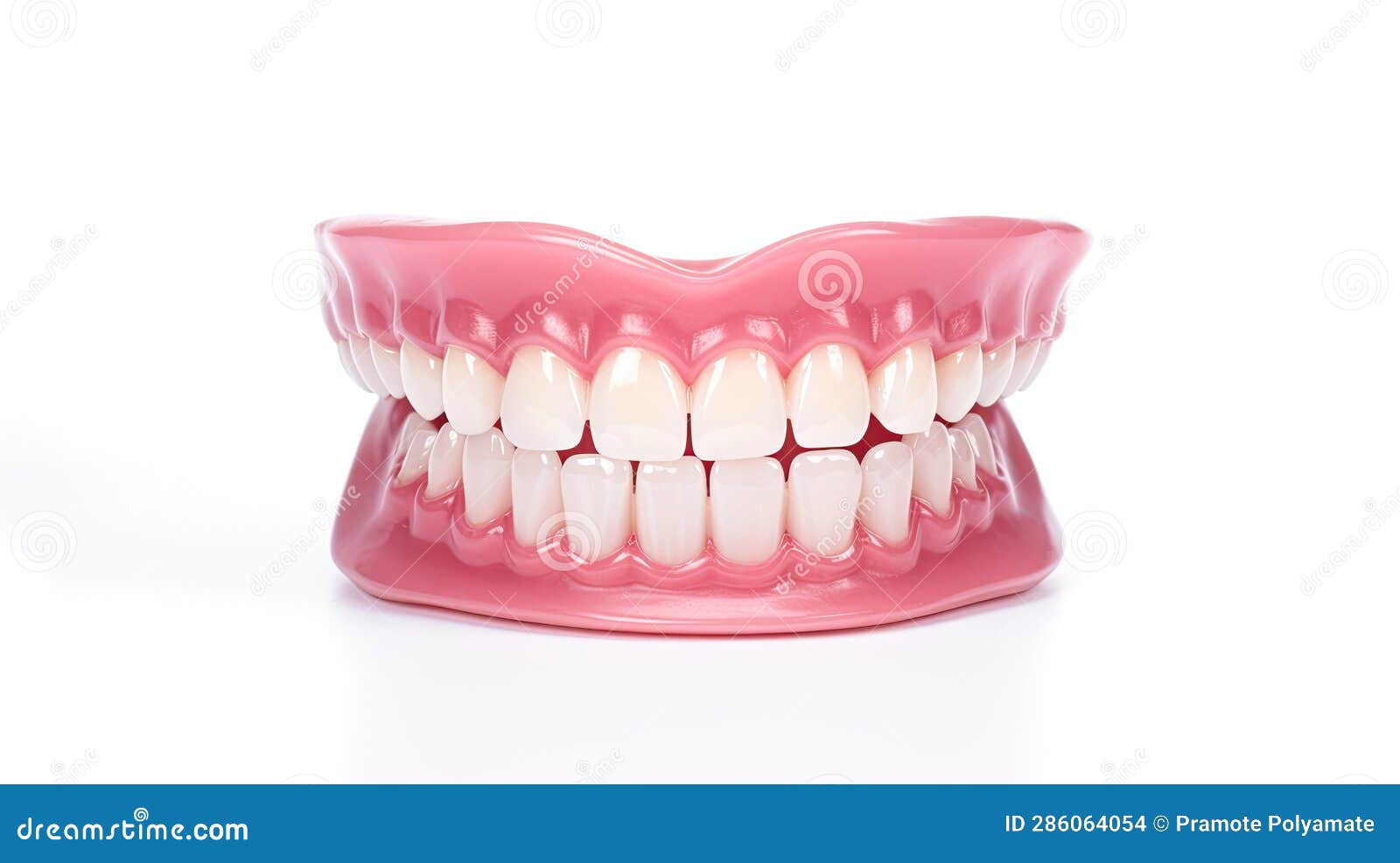 Aesthetic Dentistry of Denture. Front View of Complete Denture Isolate ...