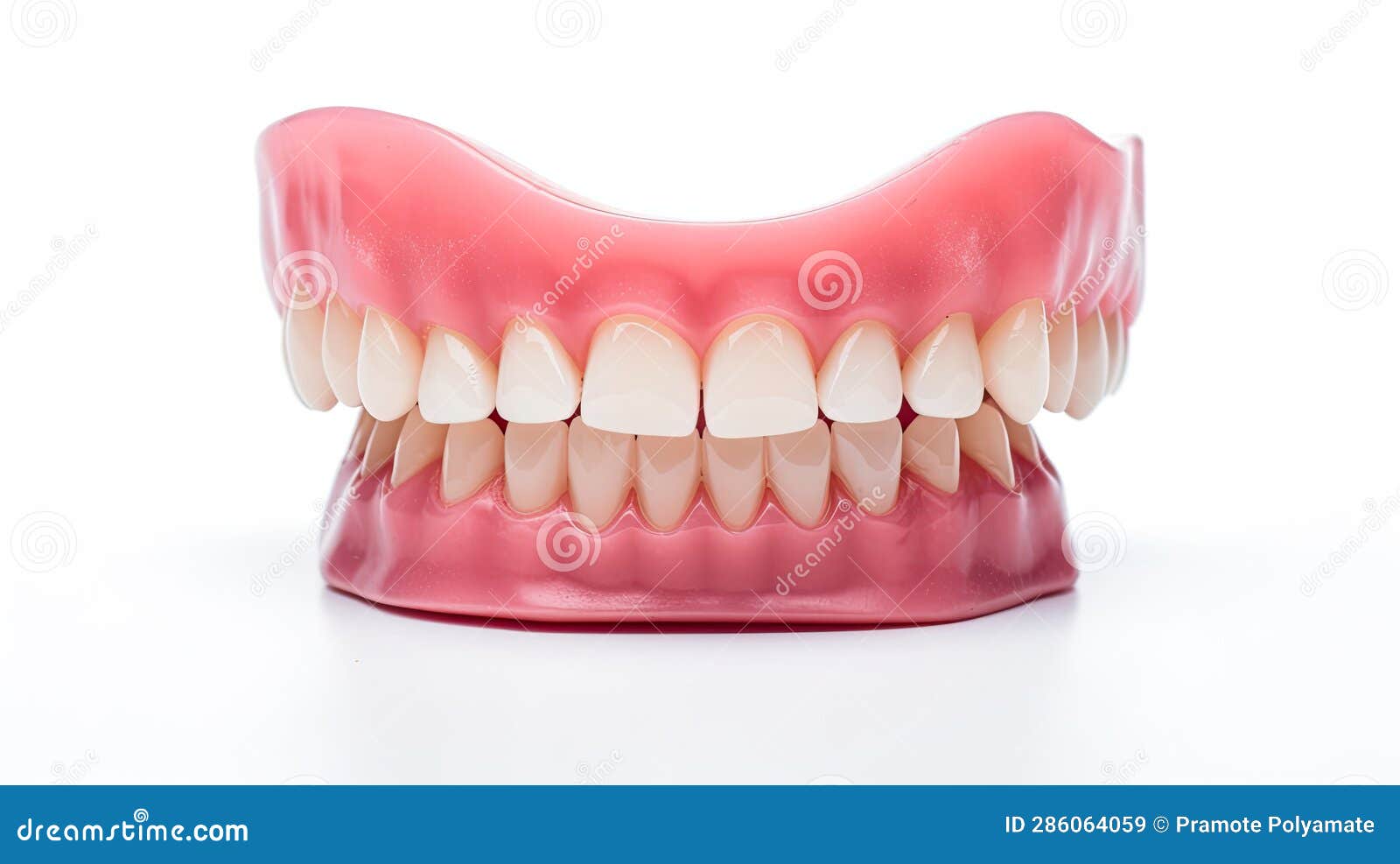 Aesthetic Dentistry of Denture. Front View of Complete Denture Isolate ...