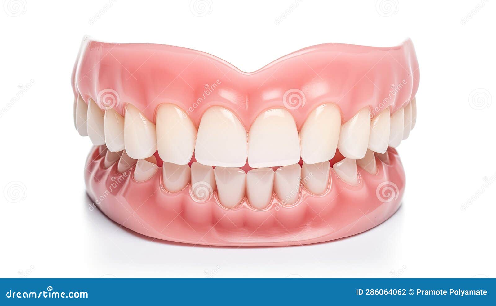 Aesthetic Dentistry of Denture. Front View of Complete Denture Isolate ...
