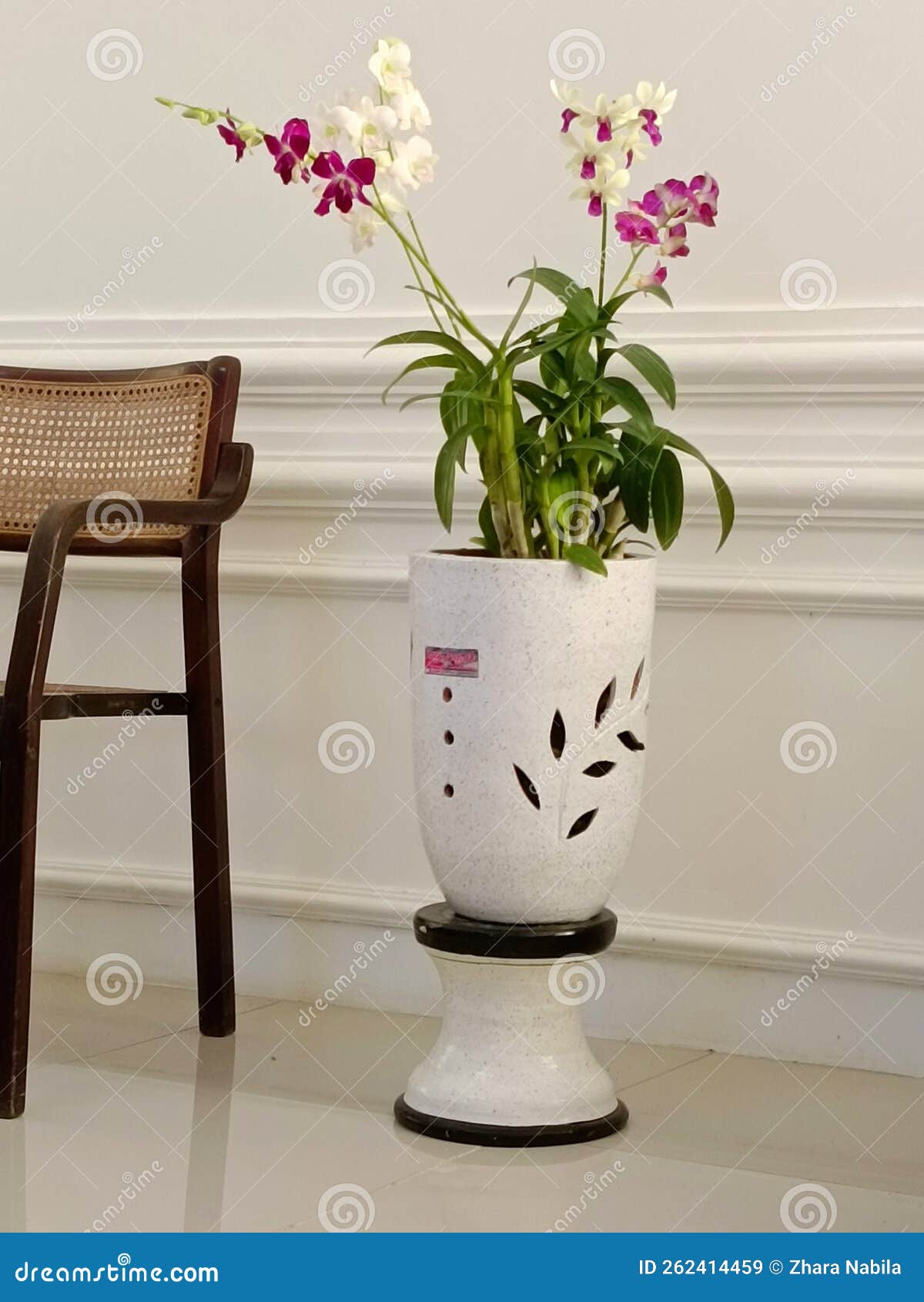 Aesthetic Flower Pots in the Waiting Room Stock Image - Image of pots ...