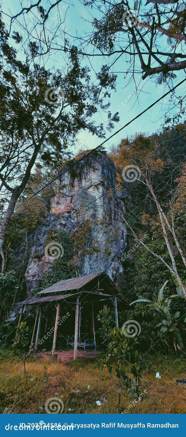 Aesthetic forest cliffs stock photo. Image of view, chill - 202334586