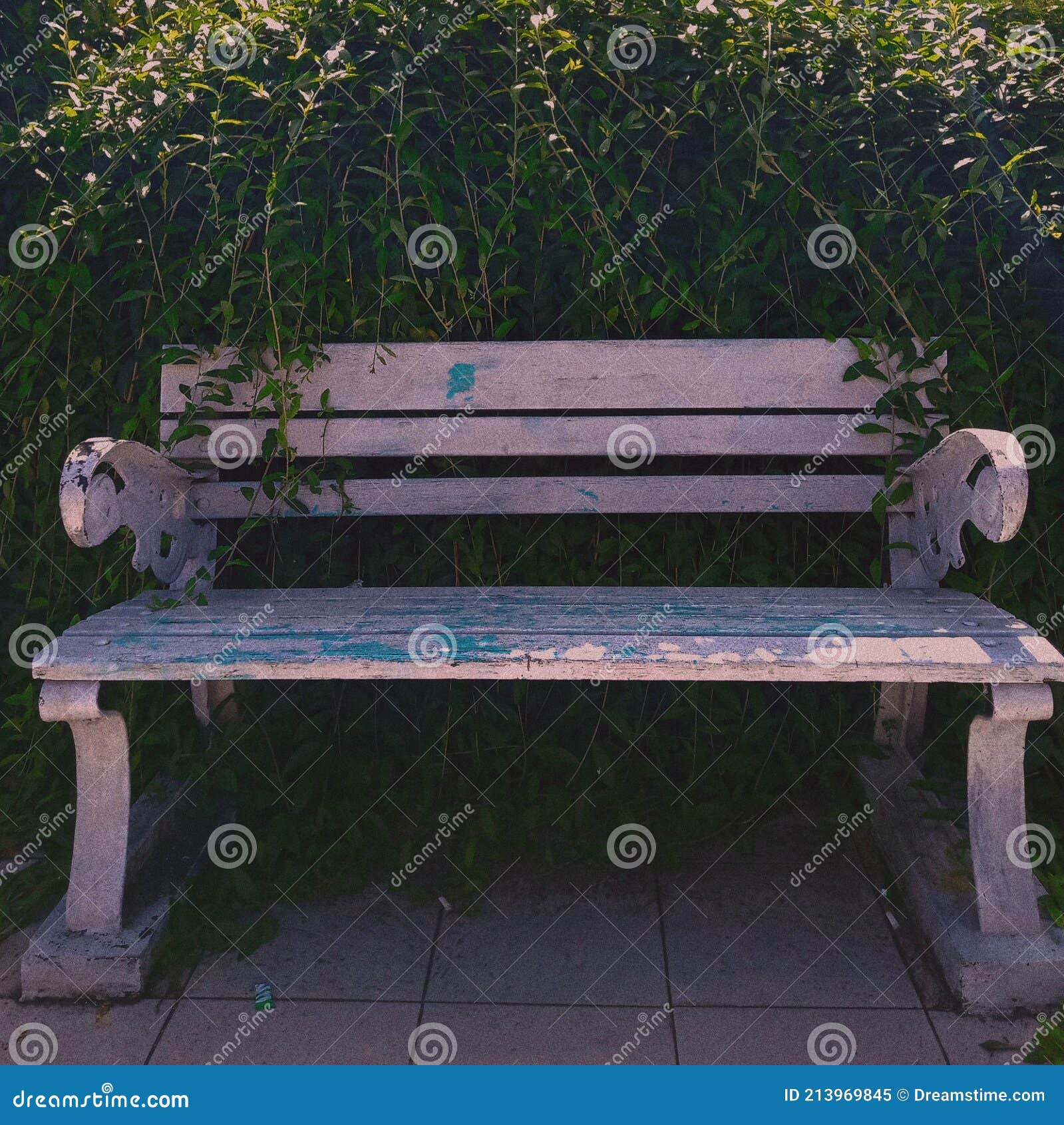 Aesthetic Gloomy Bench Full of Memories Stock Image - Image of bench ...