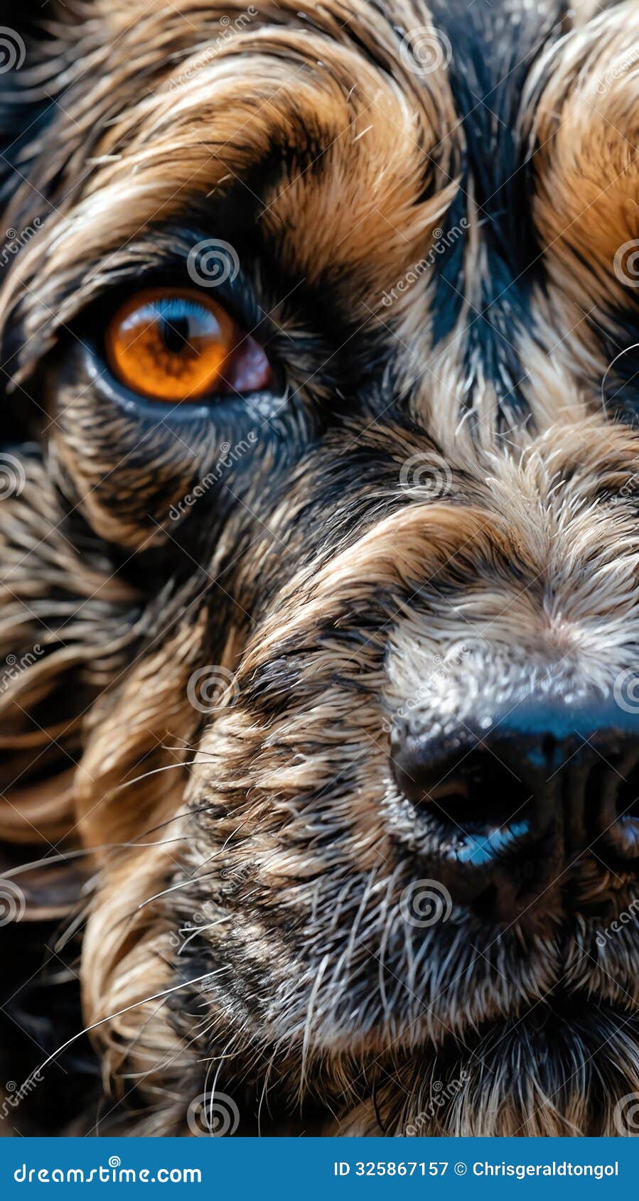 Aesthetic Image of a Brindle Patterns Dog Closeup for Ai Generated ...