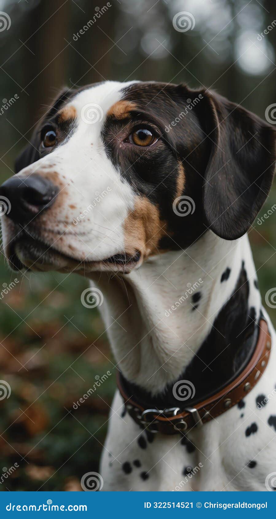 Aesthetic Image Of A Piebald Patterns Dog Closeup For Ai Generated ...
