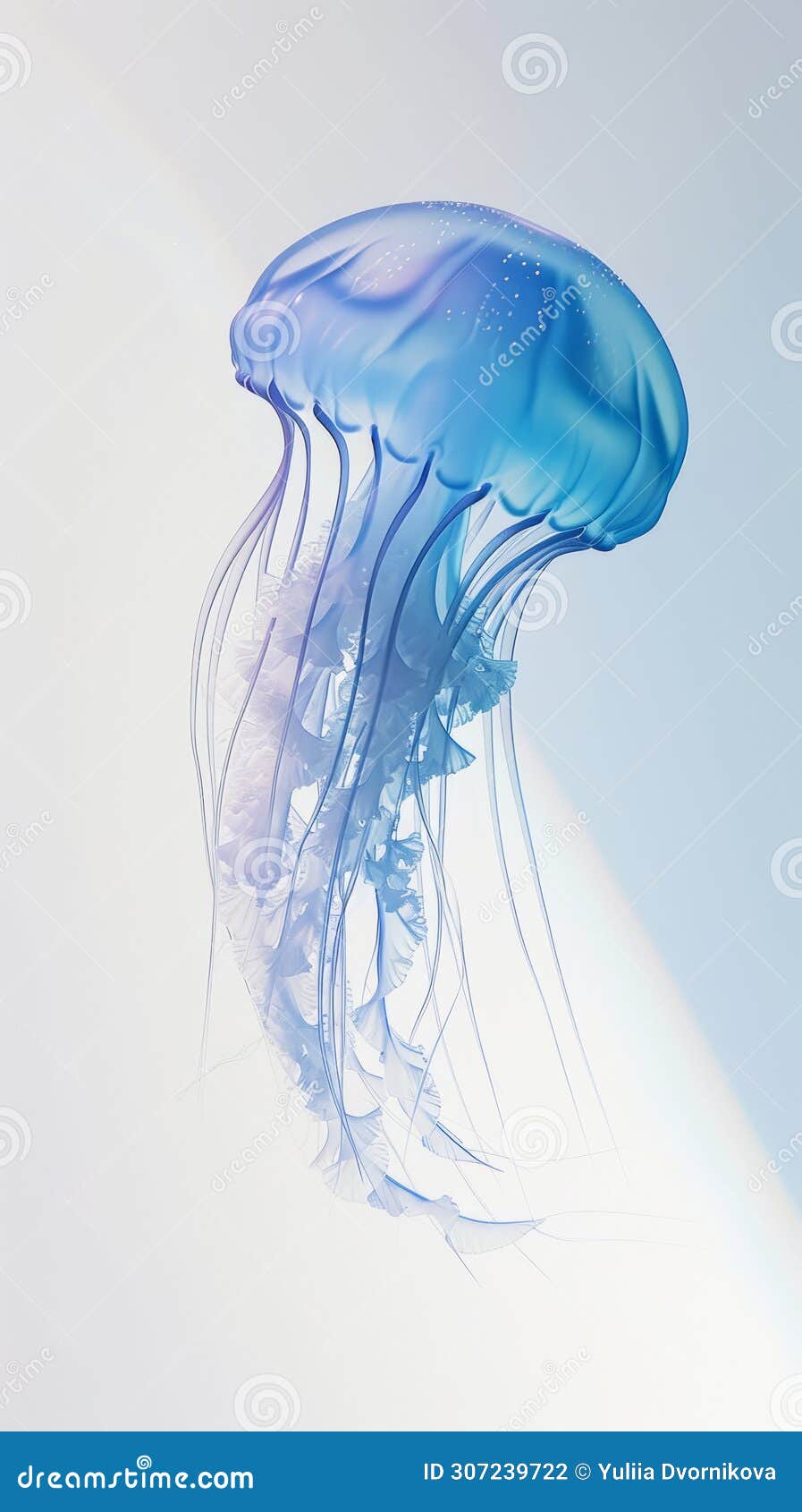 Aesthetic Light Blue Jellyfish Floating Against Light Backdrop. Ocean ...