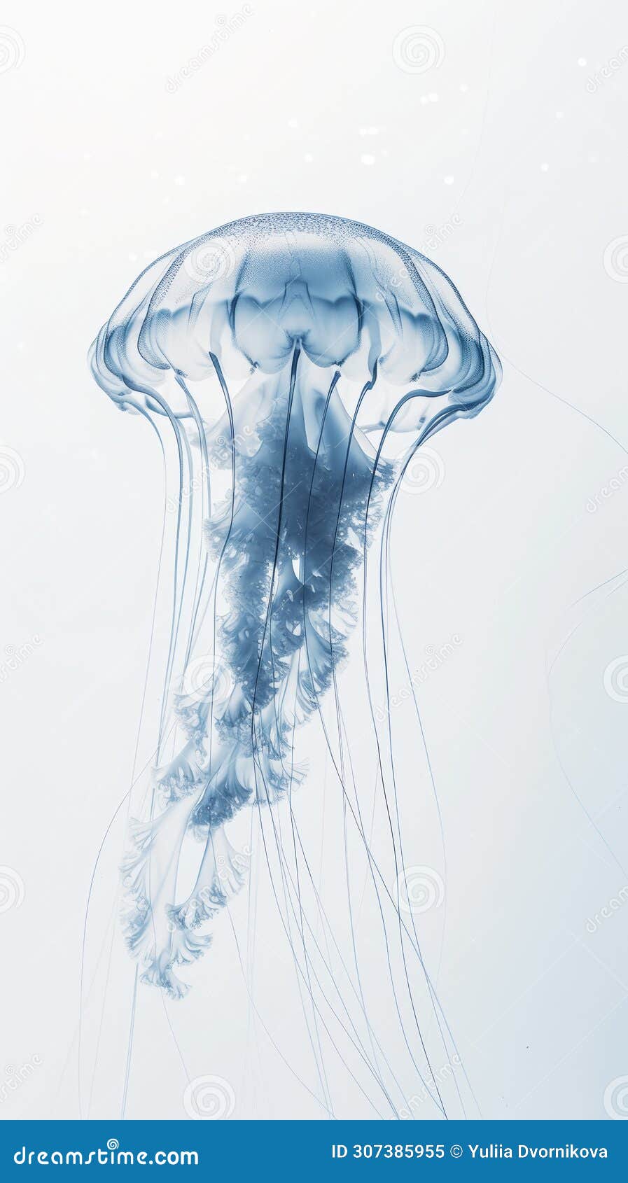 Aesthetic Light Blue Jellyfish Floating Against Light Backdrop. Ocean ...