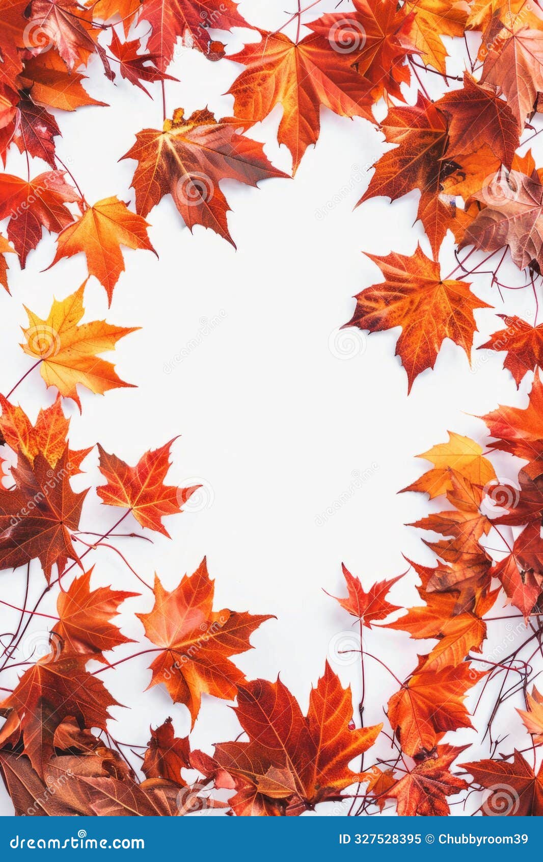 Aesthetic Maple Leaf Border Design for Various Creative Layouts, Using Negative Space and Flow ...