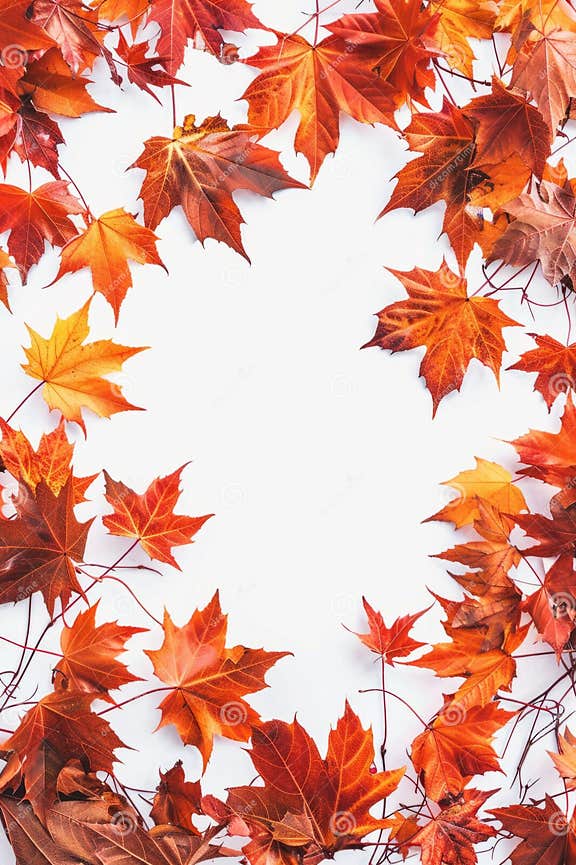 Aesthetic Maple Leaf Border Design for Various Creative Layouts, Using ...