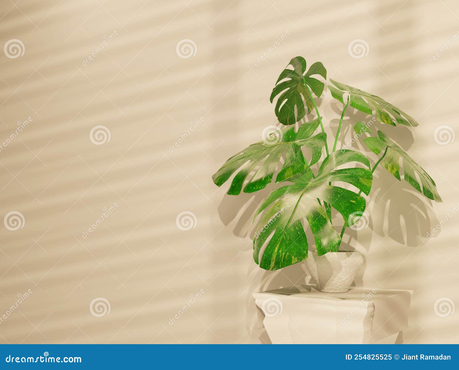 Aesthetic Monstera Indoor Scene with Silhouette Shadow Stock ...