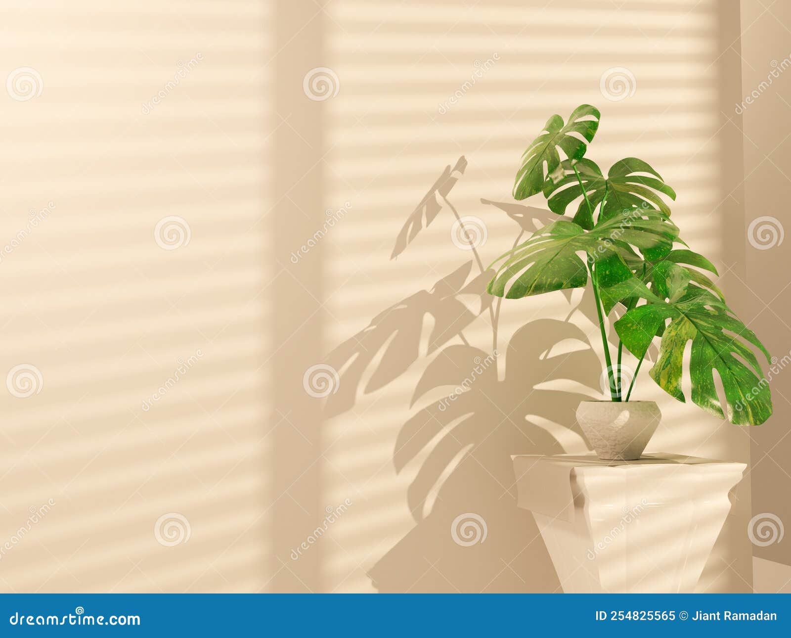 Aesthetic Monstera Indoor Scene with Silhouette Shadow Stock ...