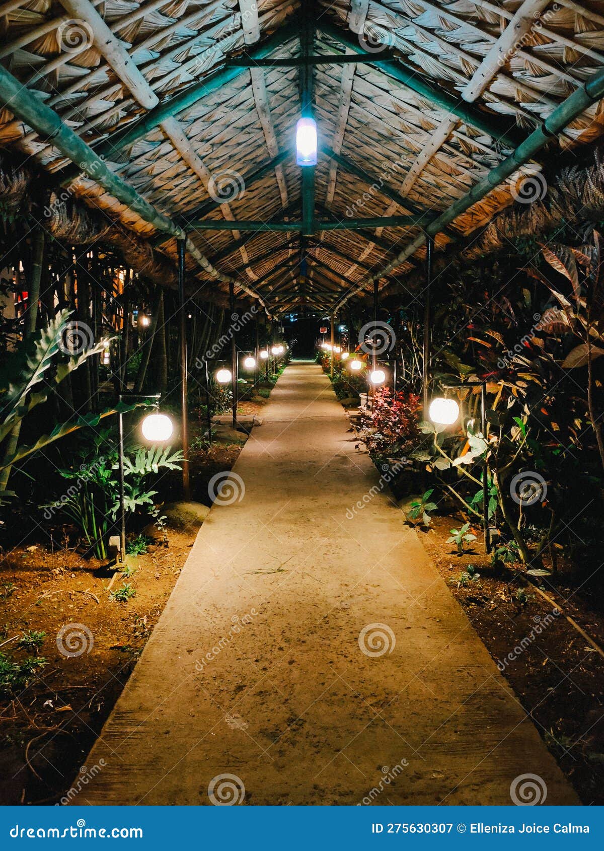Lights on a pathway stock image. Image of pathways, night - 275630307