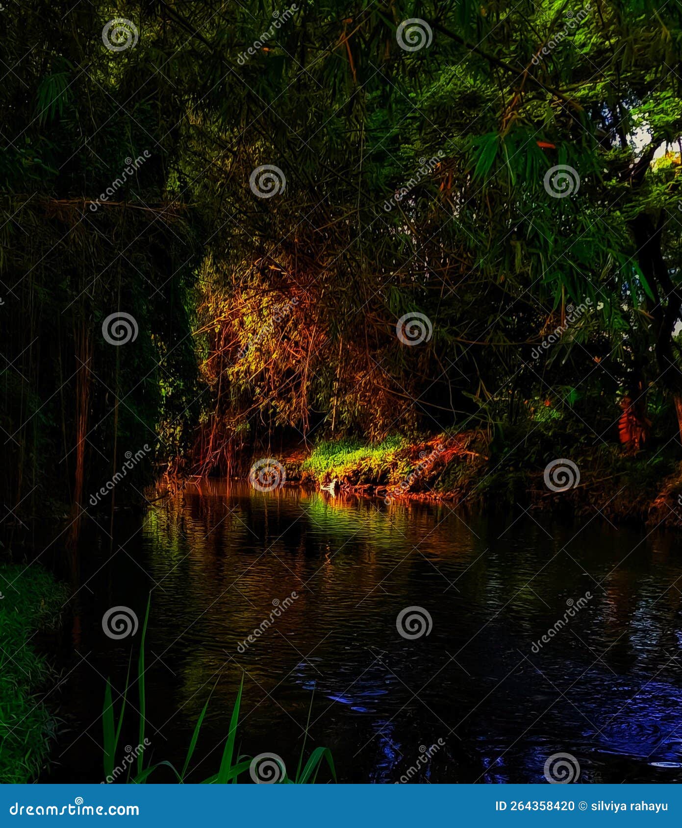 Aesthetic Portrait of a River with Calm Flowing Water Stock Photo ...