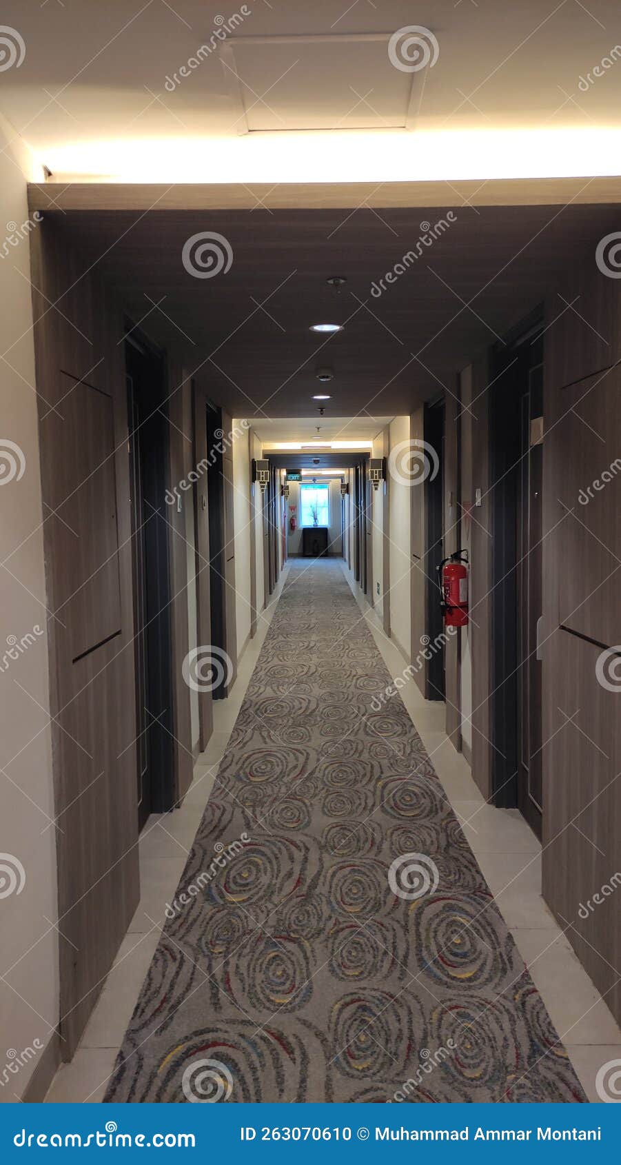 Aesthetic Quiet in Hall stock photo. Image of property - 263070610