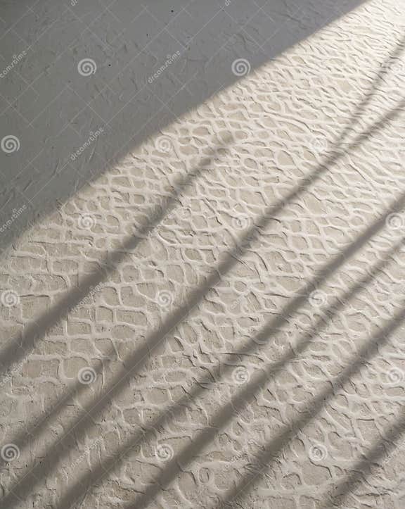 Aesthetic Shadow Overlay on the White Wall. Sunlight Forms Shadows from ...
