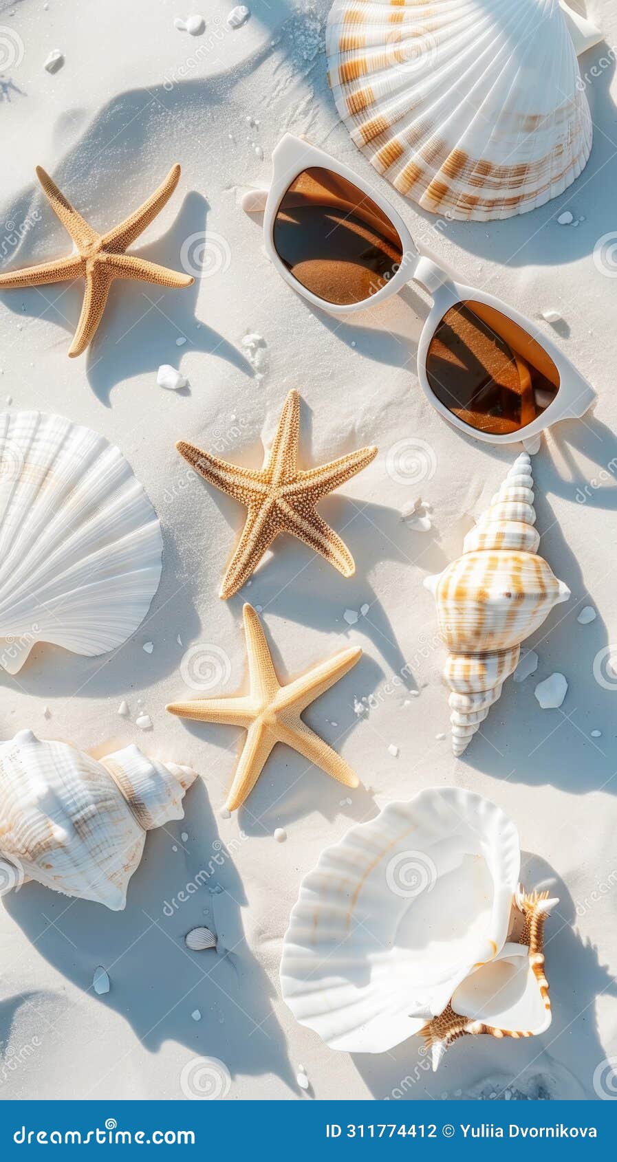 Aesthetic Summer Background with Shells, Starfish, Sunglasses on Light ...