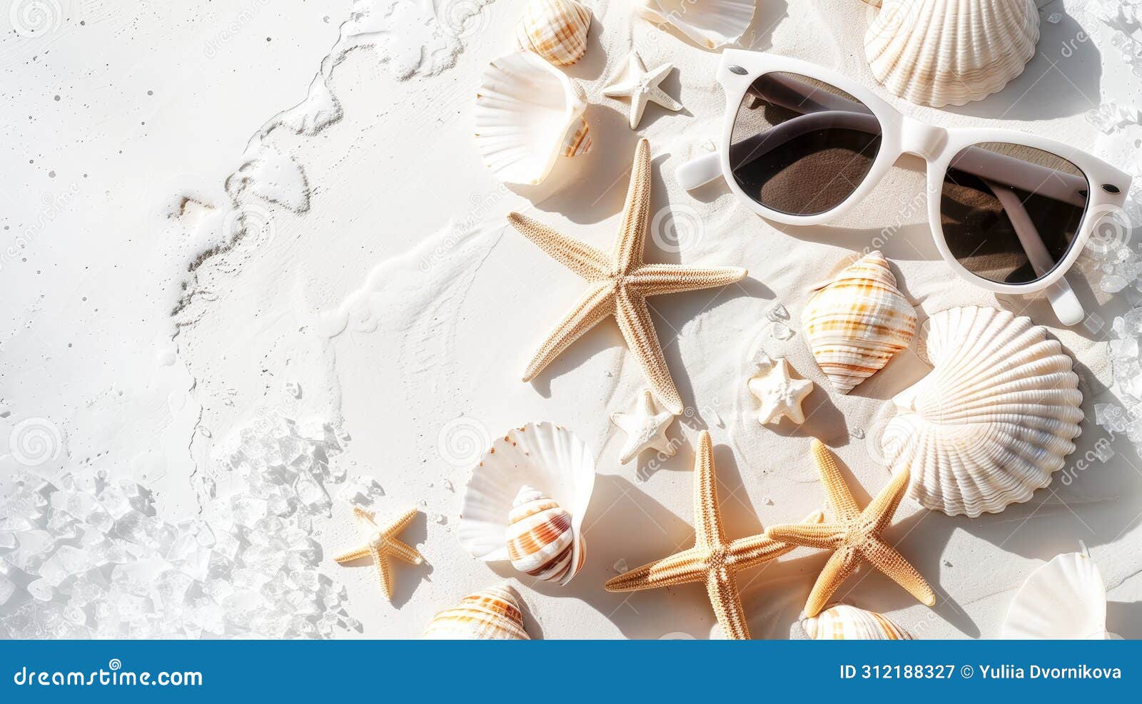 Aesthetic Summer Background with Shells, Starfish, Sunglasses on Light ...