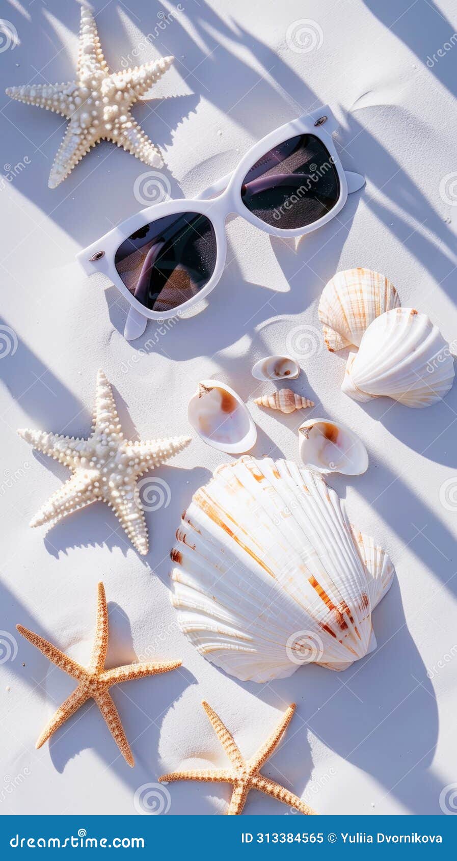 Aesthetic Summer Background with Shells, Starfish, Sunglasses on Light ...