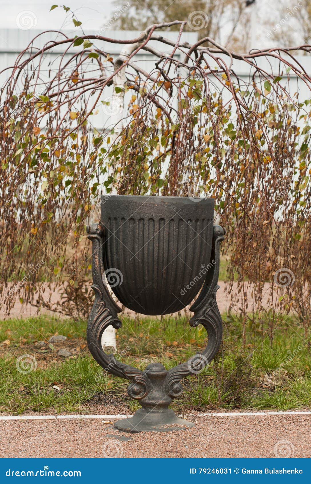 Aesthetic trash bin stock image. Image of bush, outdoor - 79246031