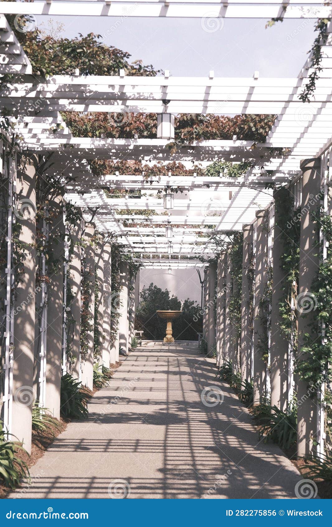 Aesthetic Vibrant Pathway Adorned with Lush Foliage Stock Photo - Image ...