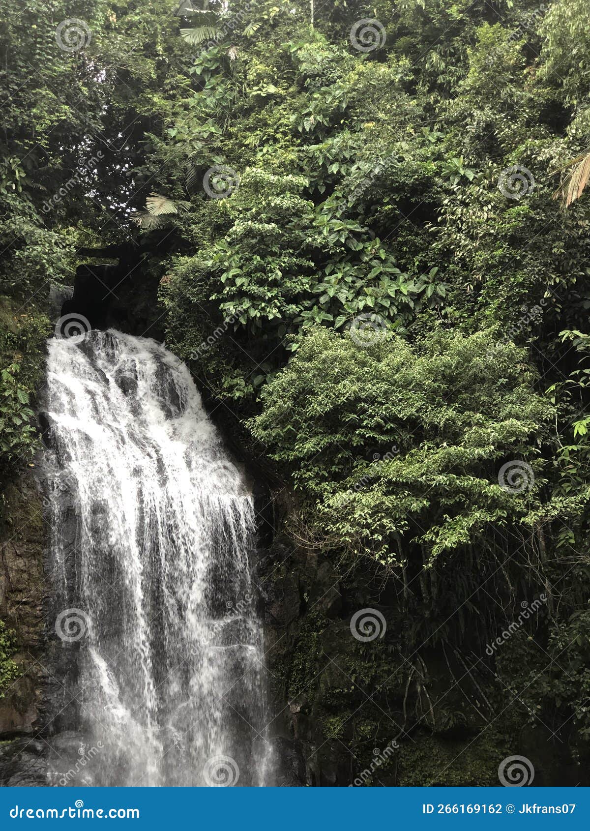 Aesthetic waterfall stock photo. Image of nature, leaf - 266169162