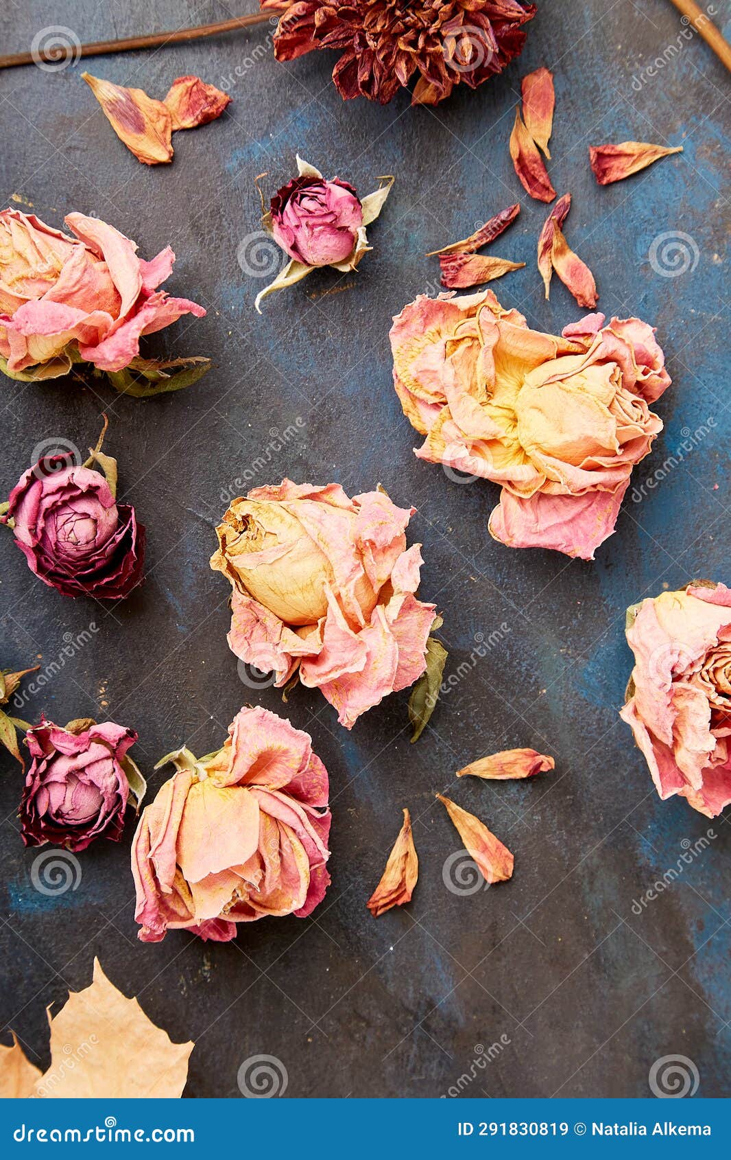 Aesthetics Autumn Vibes Pattern. Dry Roses and Maple Leaves on Rustic ...