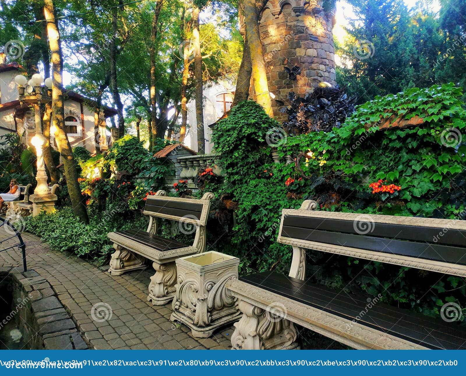 Aesthetics of a Beautiful Park Stock Image - Image of plant, building ...