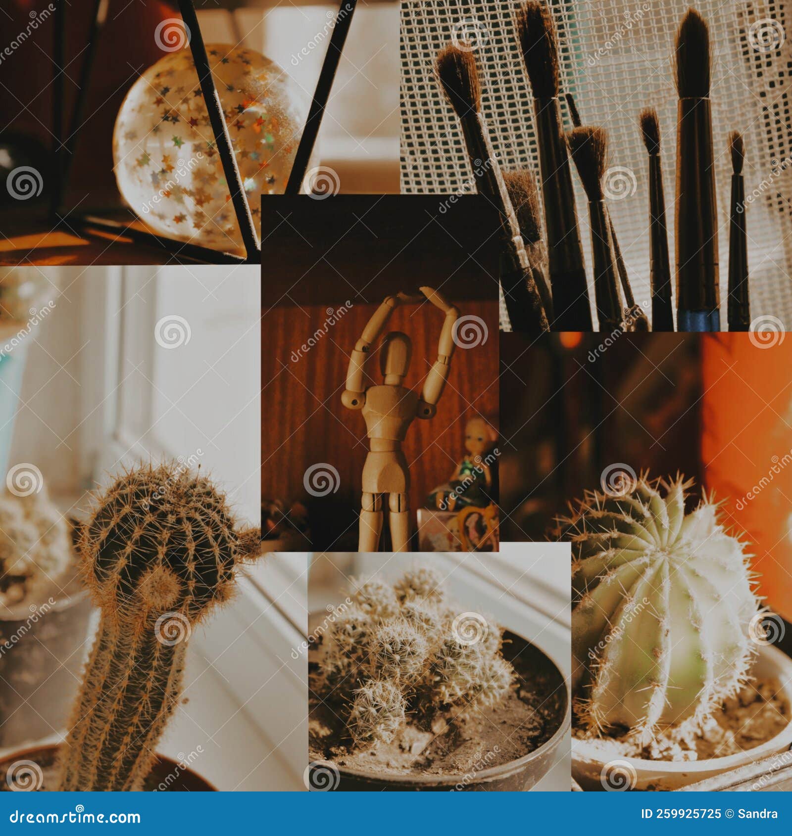 Creative place aesthetics stock image. Image of cactus - 259925725