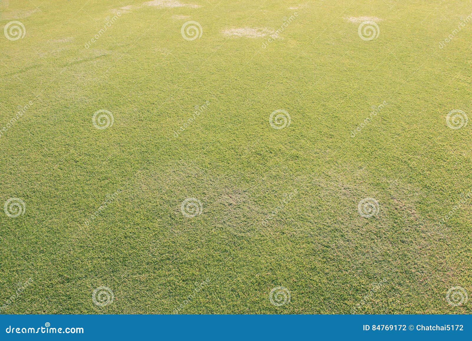 Real Green Grass Texture Of A Soccer Field,soccer Field Outdoor Stock ...