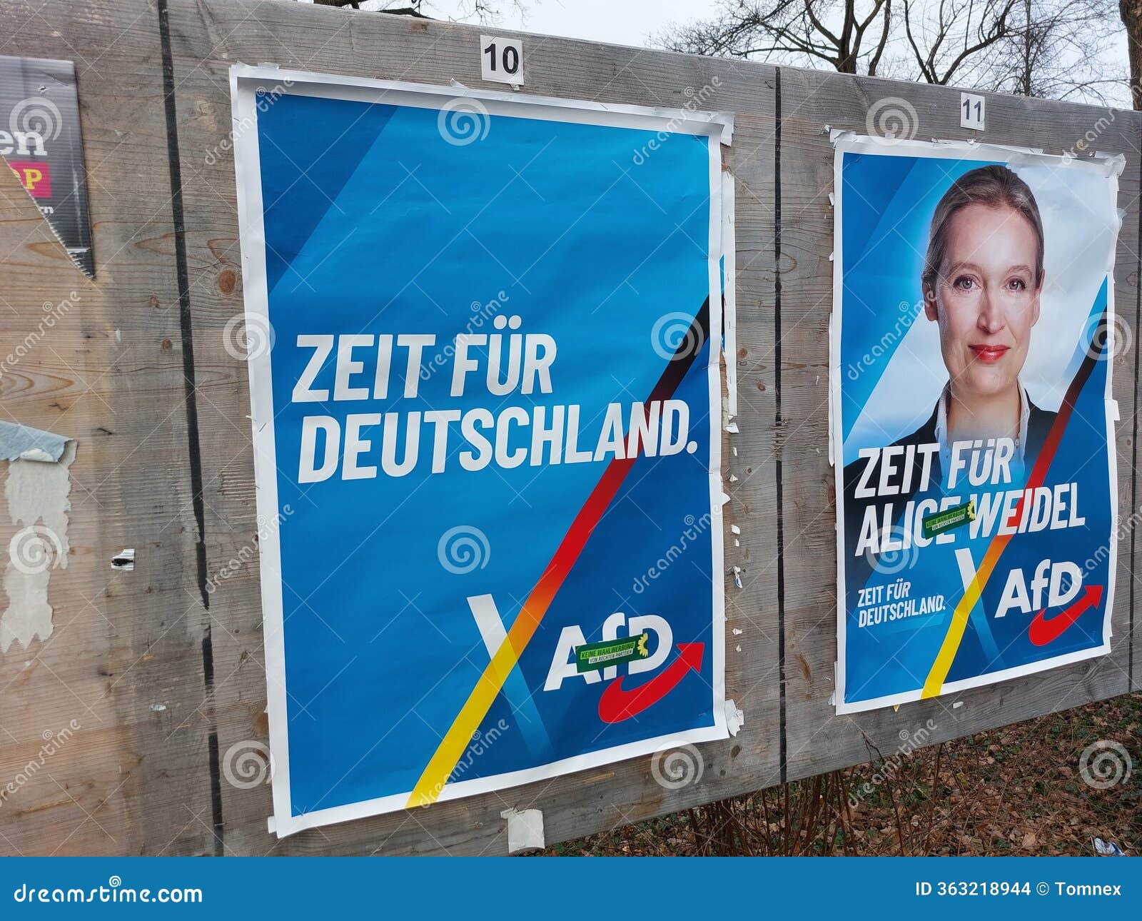 Alice Weidel Portrait On AfD Political Campaign Poster 2025. Editorial ...
