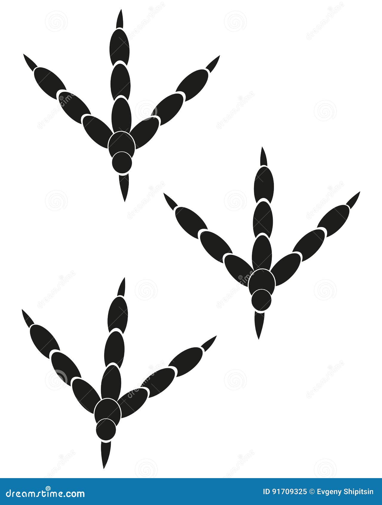 Afdruk Van Het Spoor Van De Vogel Vector Illustratie - Illustration of ...