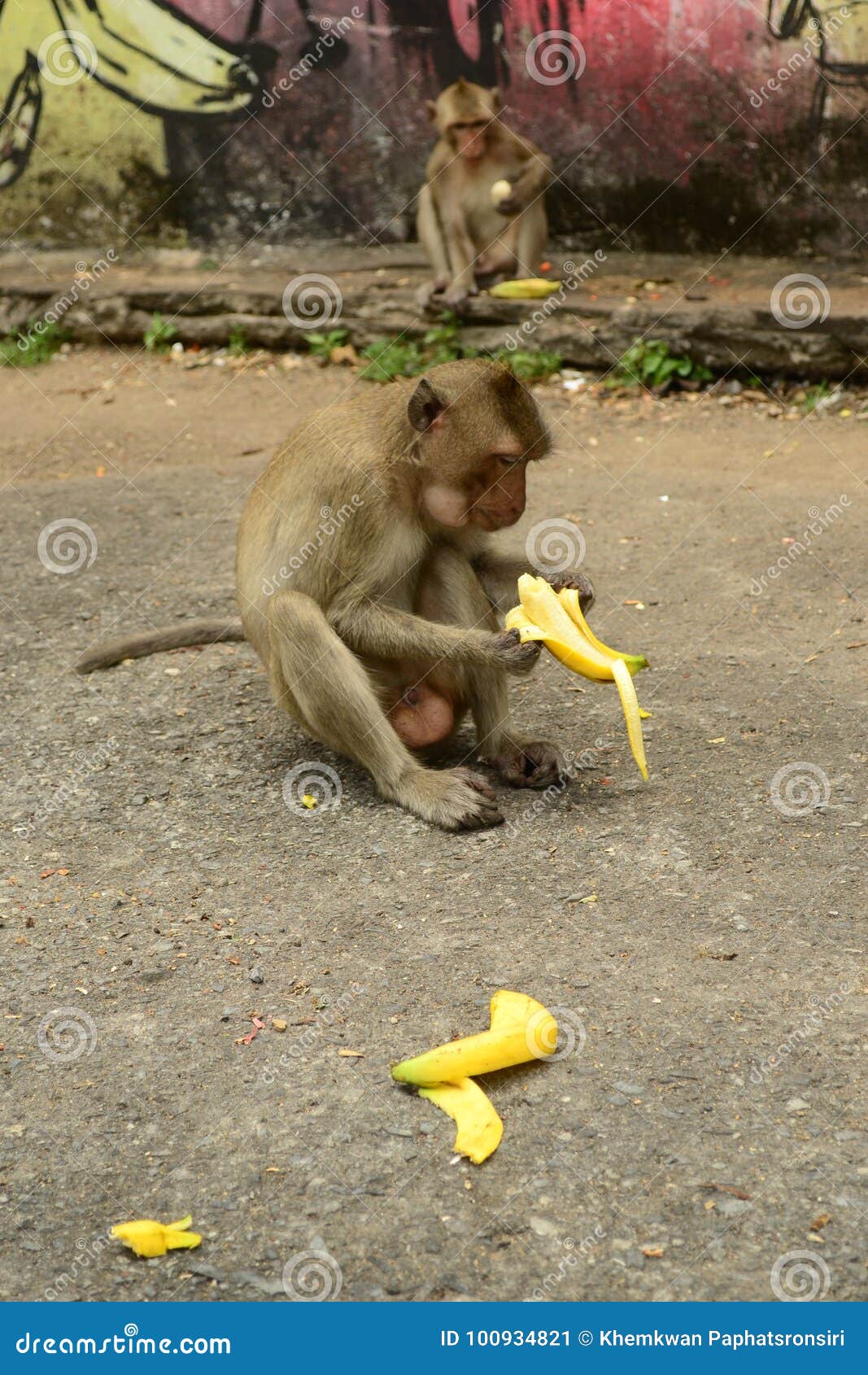 Affe mit Banane stockbild. Bild von schön, nett, stadt - 100934821